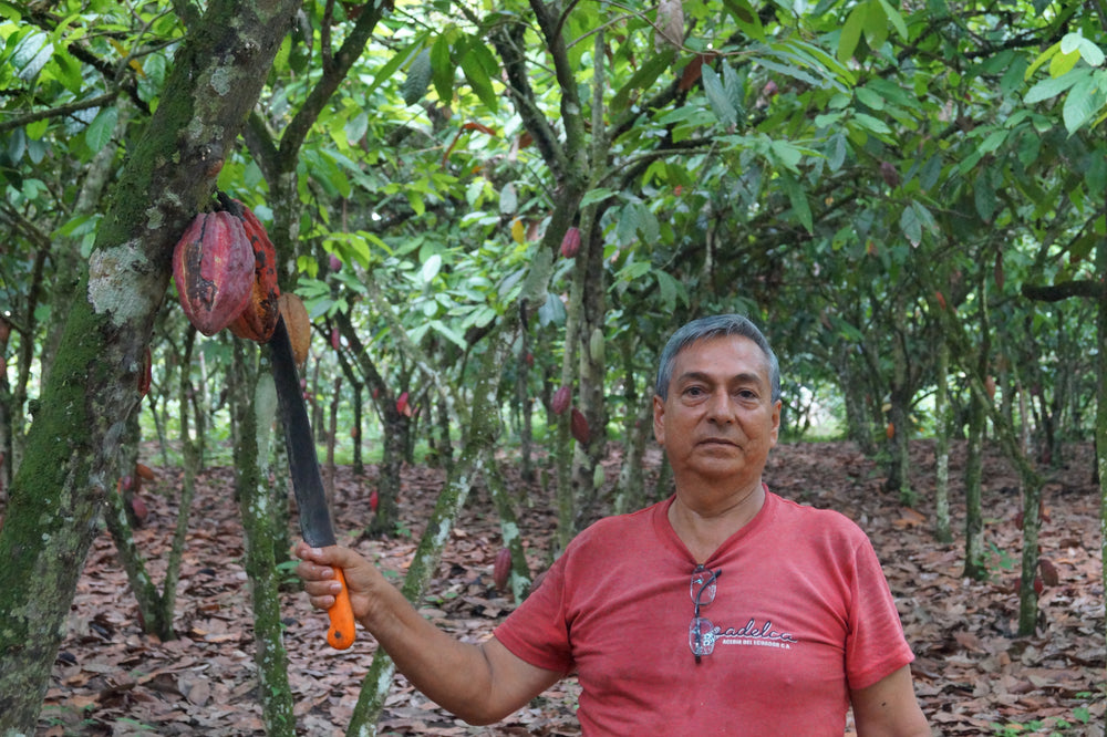 Kyya Chocolate Talks – KYYA